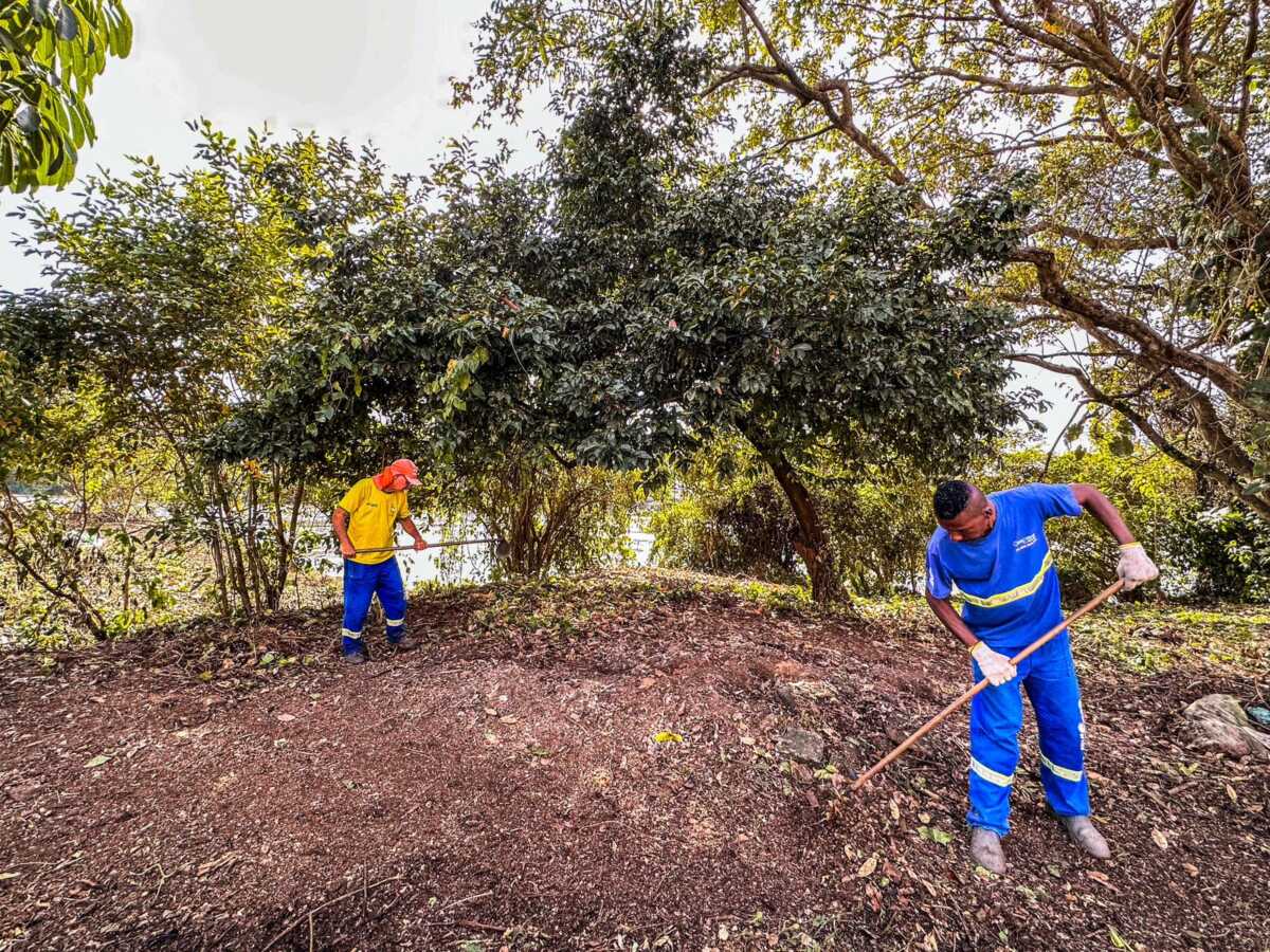 Revit BM segue com serviços de revitalização na área central e nas ...